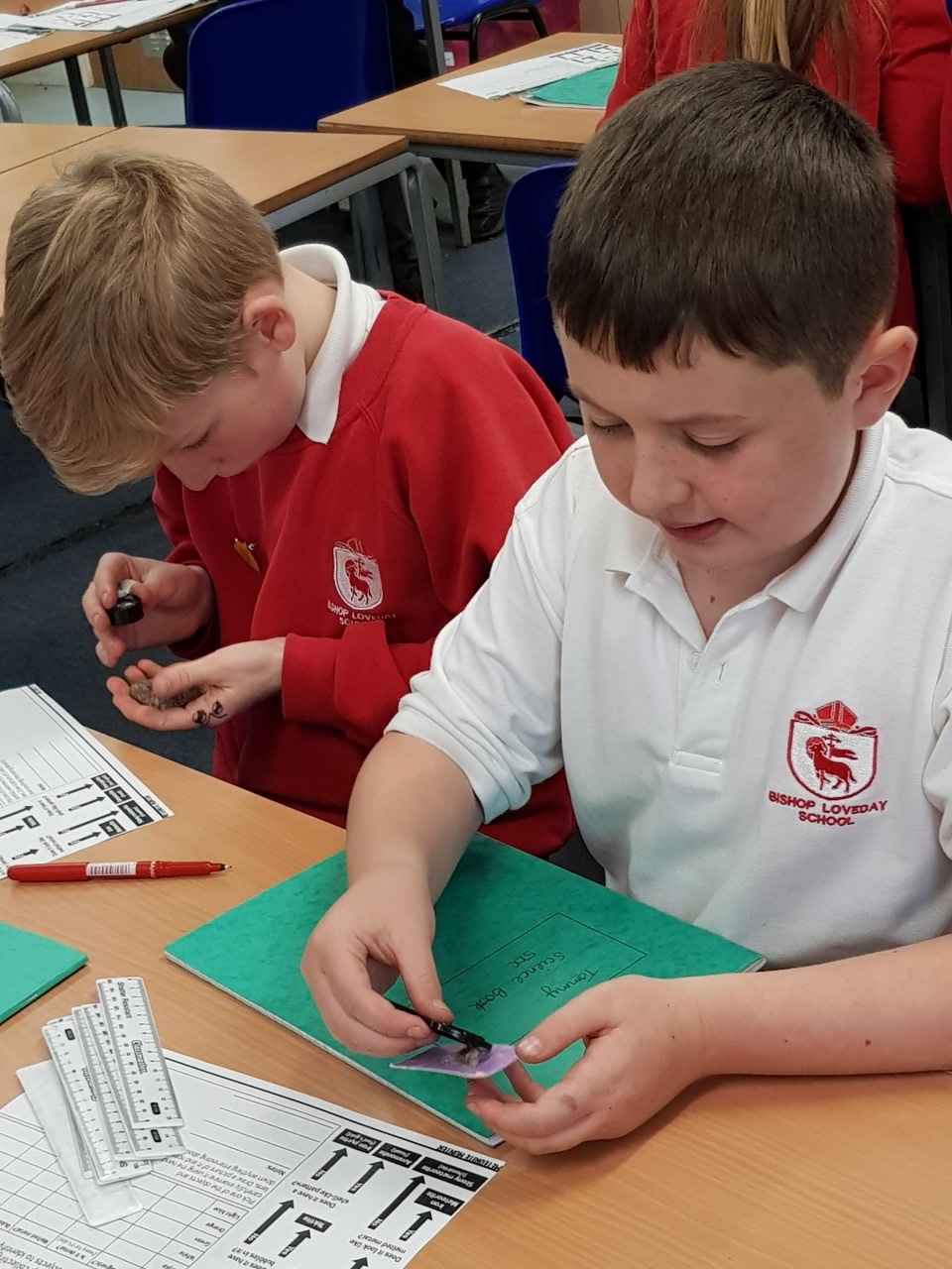 Meteorites land at Bishop Loveday Primary School! - Bishop Loveday CE ...